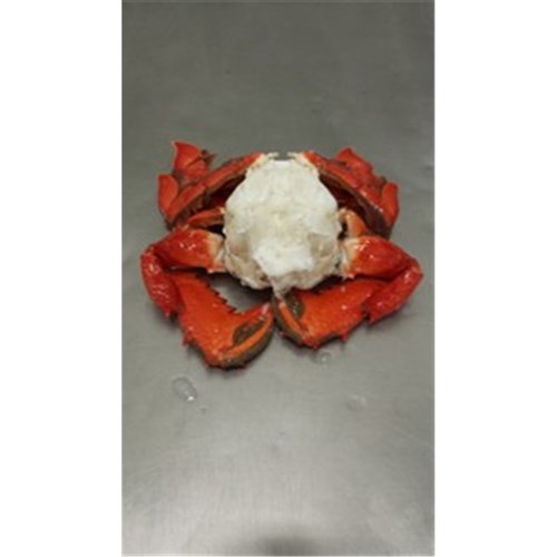 SX0703 - Crabs & Lobsters - Foodlink Australia